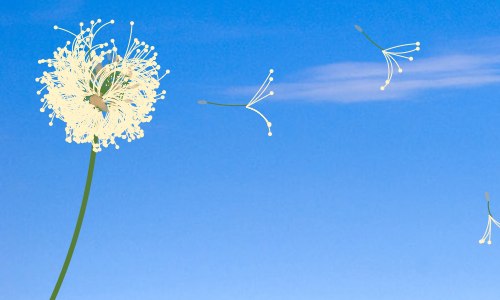 How To Create Web Animations With Paper.js — Smashing Magazine